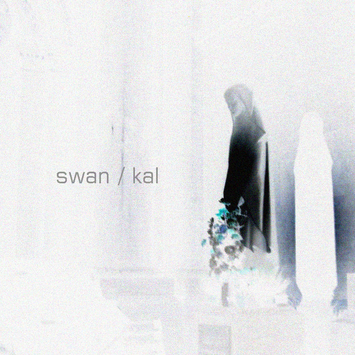 swan | kal