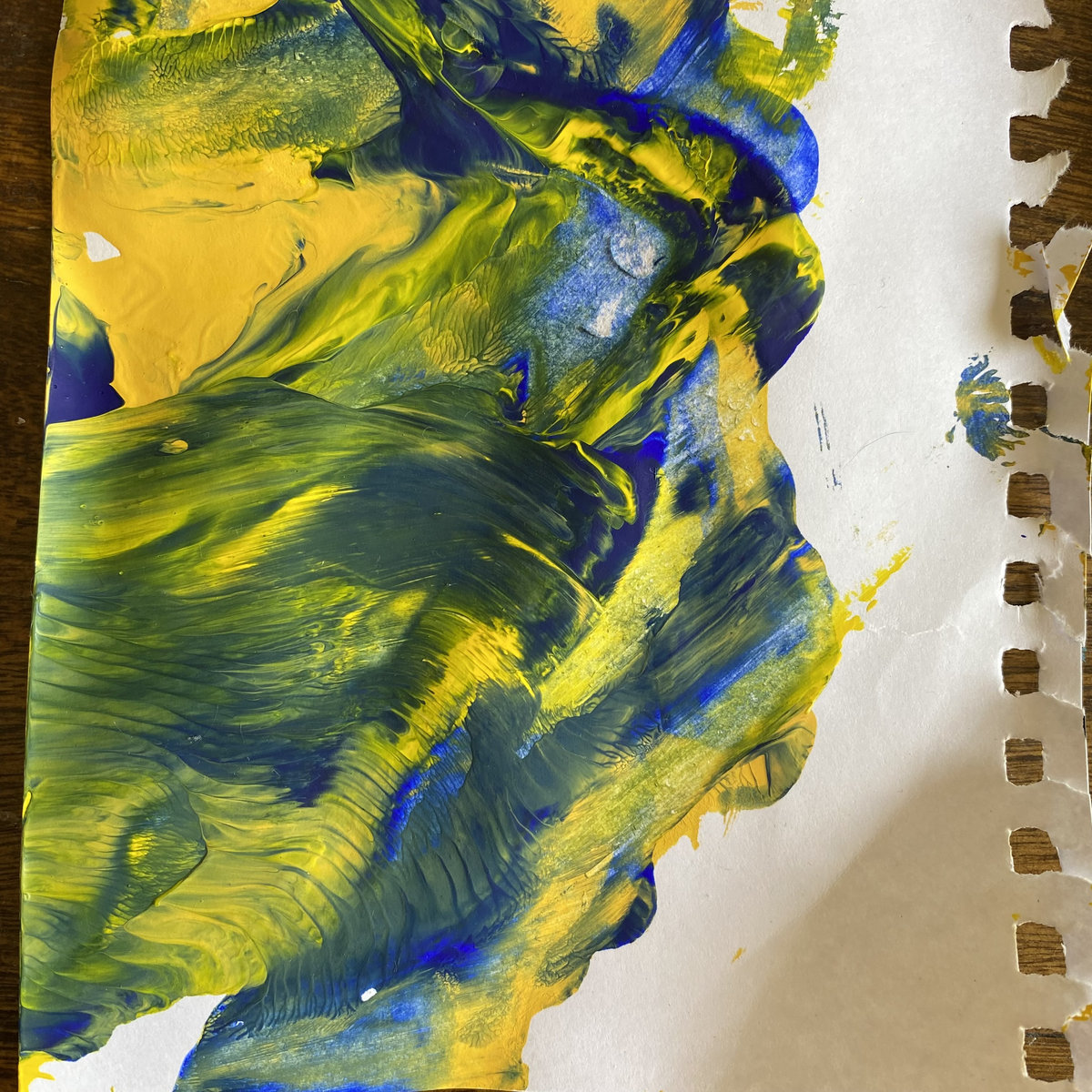 Persimmon & Hairspray | dance parrot