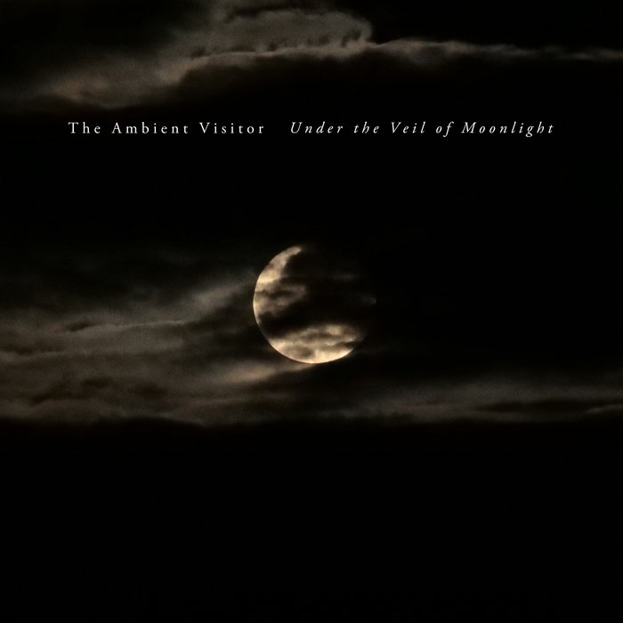 Under the Veil of Moonlight | The Ambient Visitor