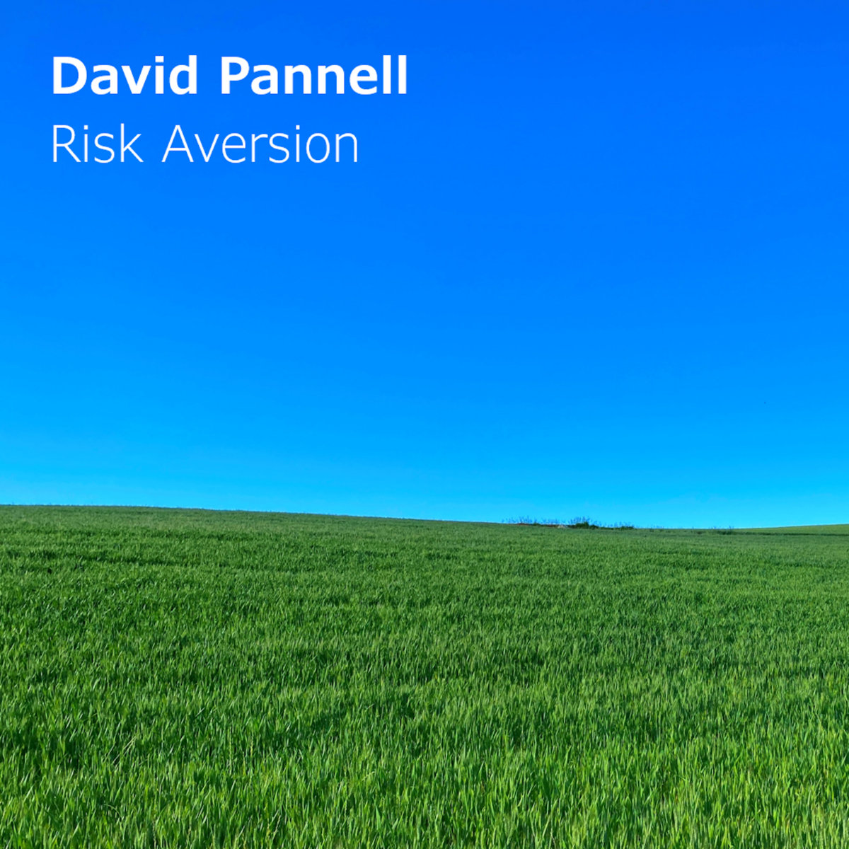 Risk Aversion | David Pannell | dog park