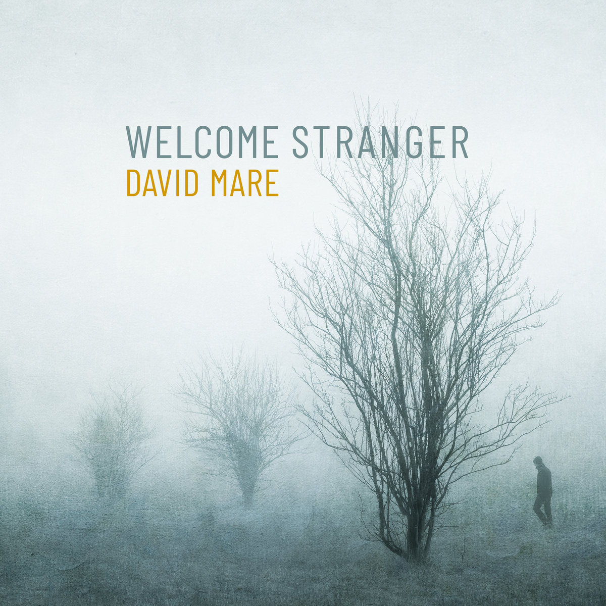 Welcome Stranger | David Mare