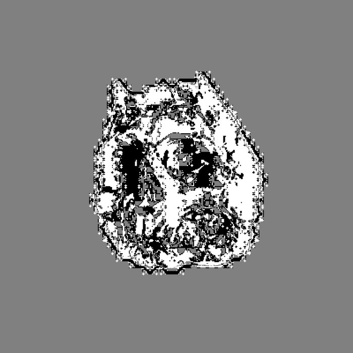 Warp-form Phenotype | Eugnosis