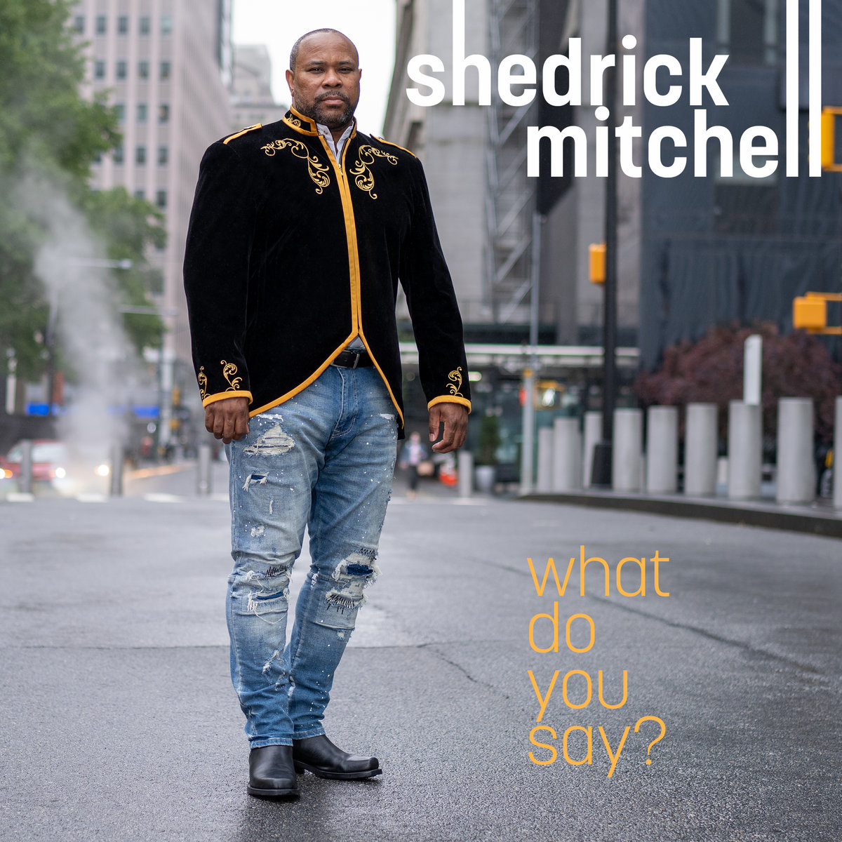 What Do You Say? | Shedrick Mitchell | Shedrick Mitchell