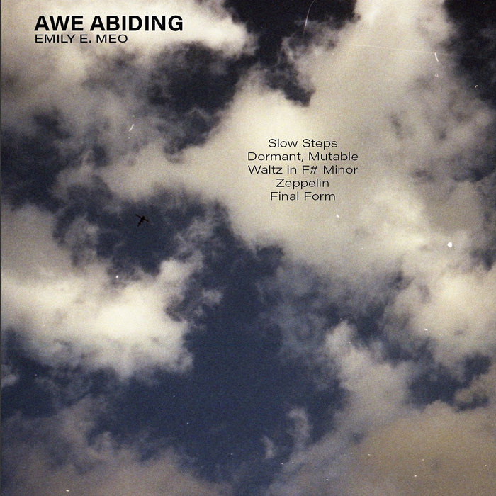 Awe Abiding | Emily E. Meo