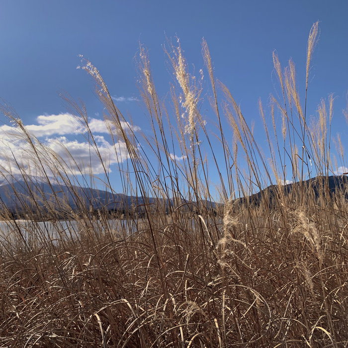 Odds and Ends | Oxter