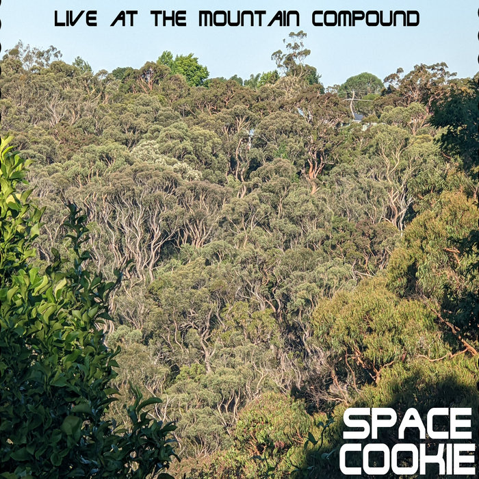 Live at the Mountain Compound | Space Cookie