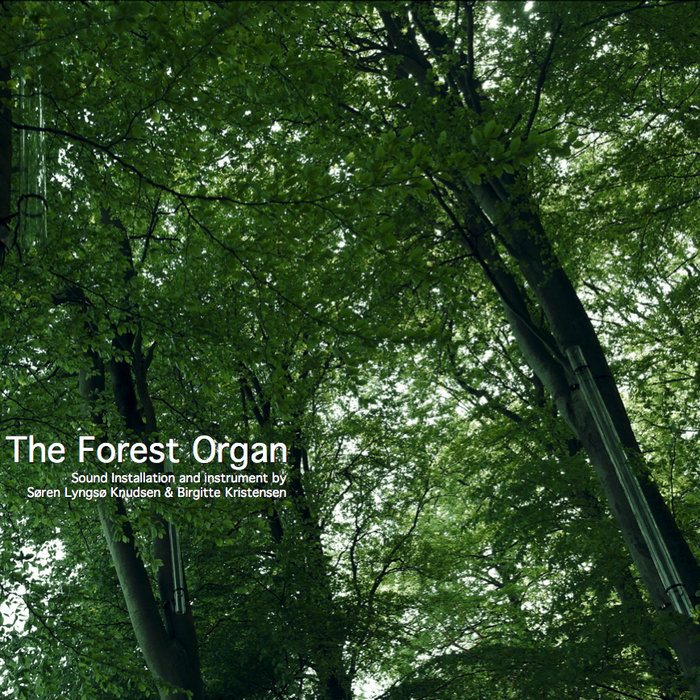 The Forest Organ | Søren Lyngsø Knudsen & Birgitte Kristensen | Søren ...