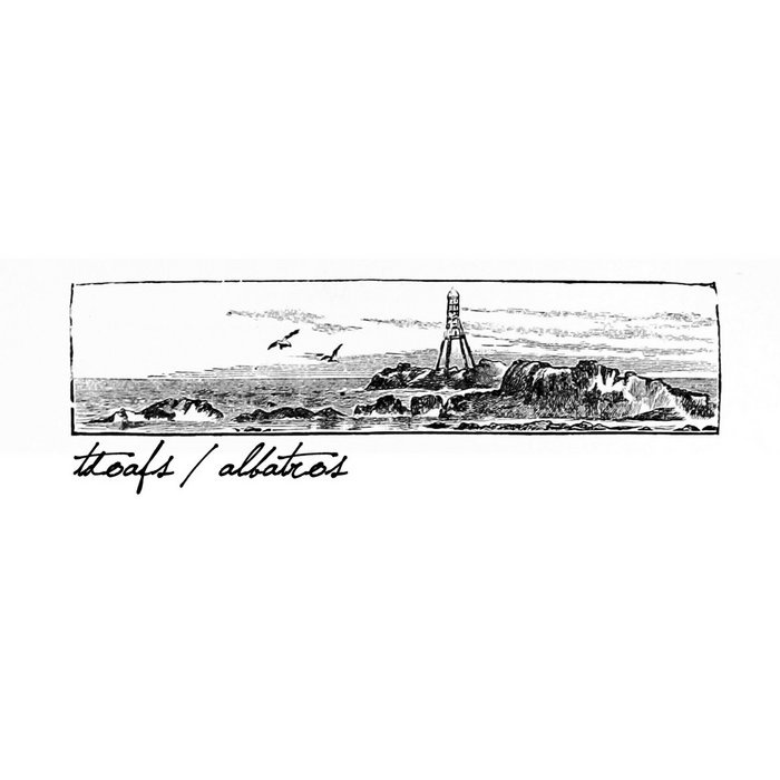 tdoafs / Albatros | no funeral records