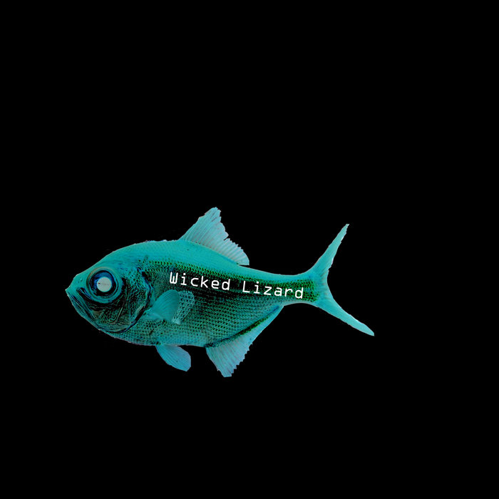 Wicked Lizard | Wicked Lizard