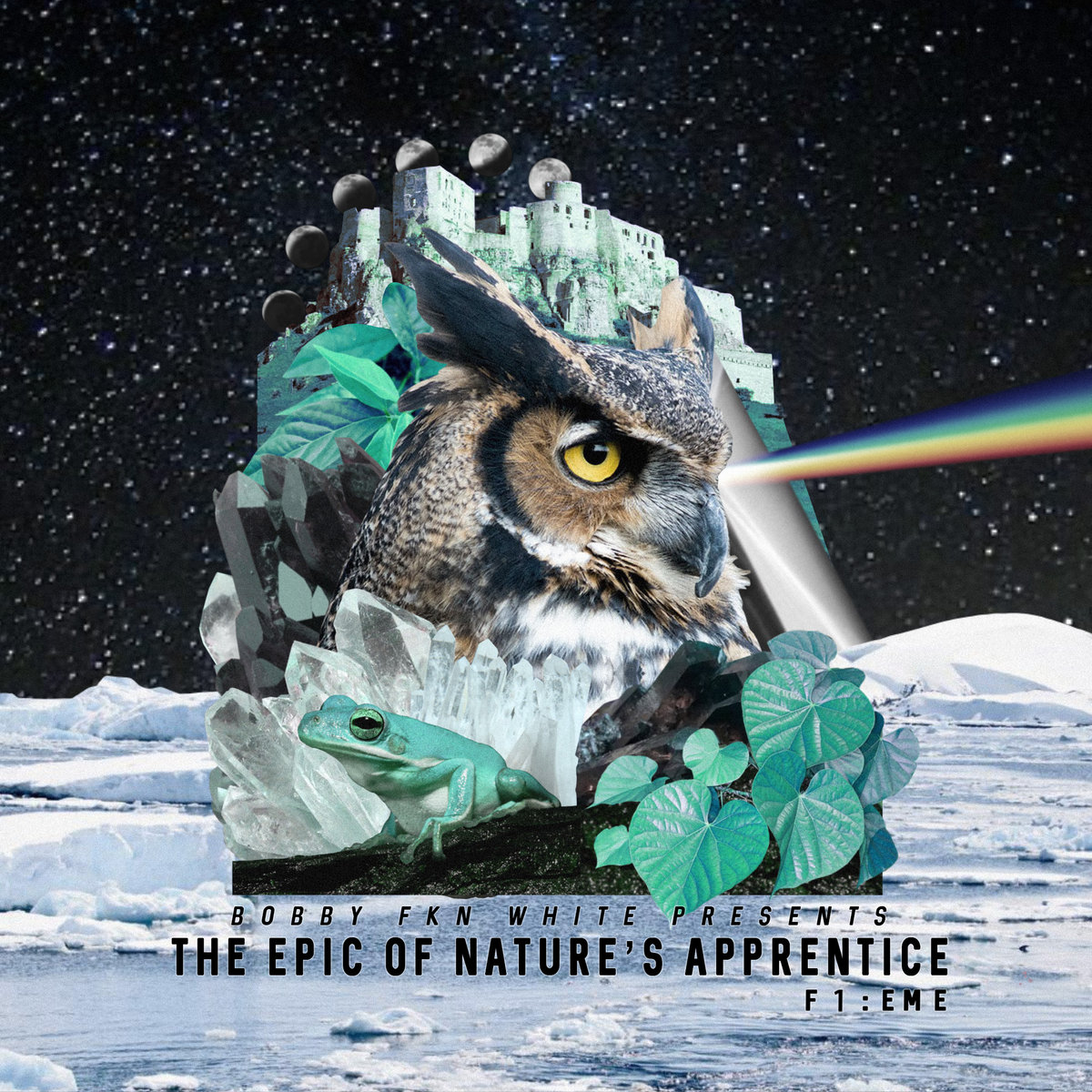 The Epic of Nature's Apprentice (F1) | Nature's Apprentice | Nature's Apprentice [aka Bobby FKN ...