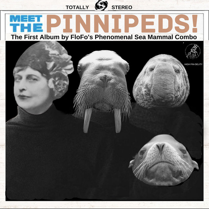 Meet the Pinnipeds | The Pinnipeds