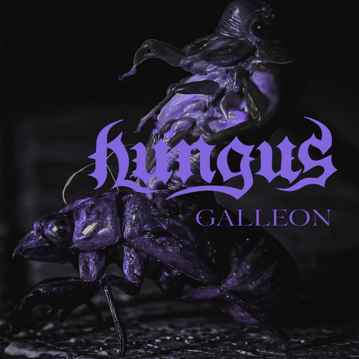 Galleon | Hungus