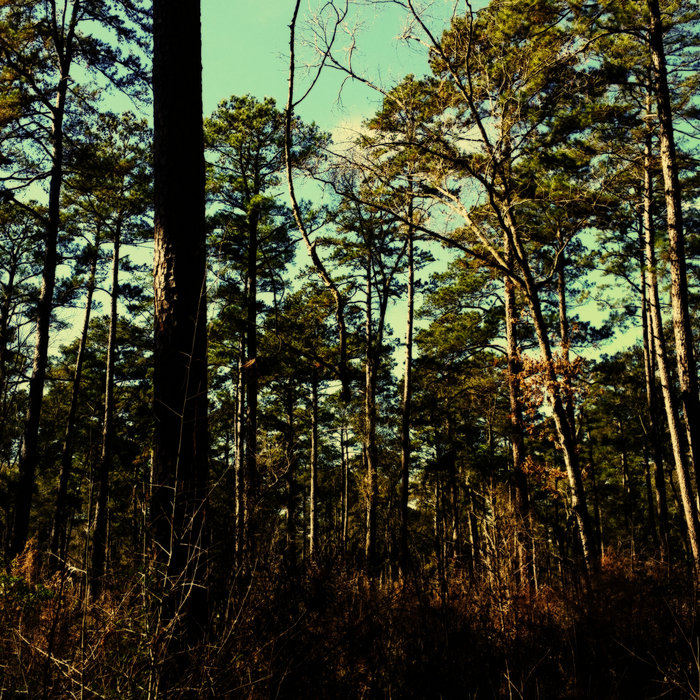 mychorrizal | Periaktoi