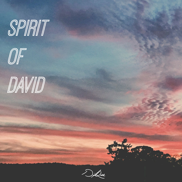 Spirit of David | David Lee Brown