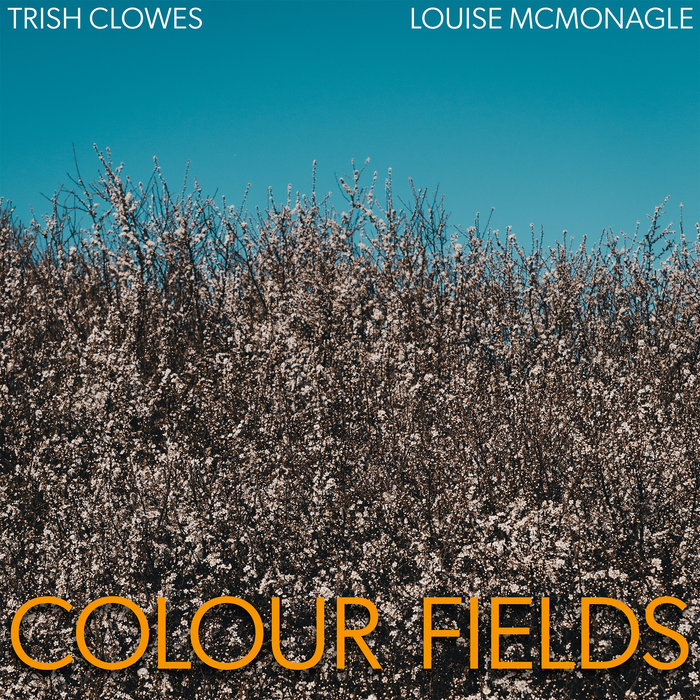 Colour Fields | Trish Clowes & Louise McMonagle | Trish Clowes
