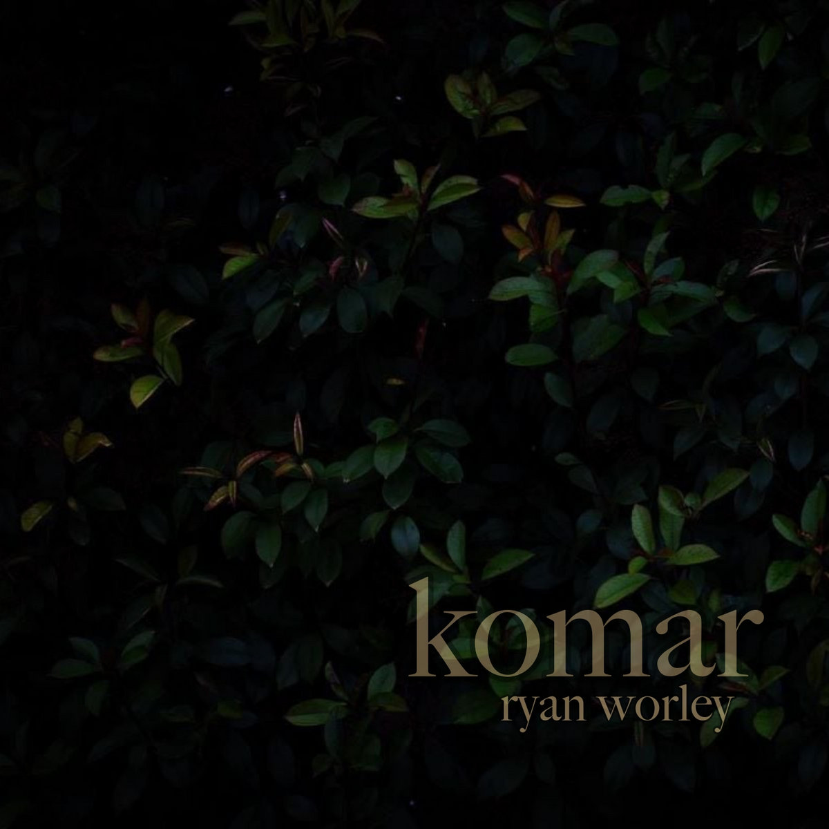 Komar | Ryan Worley