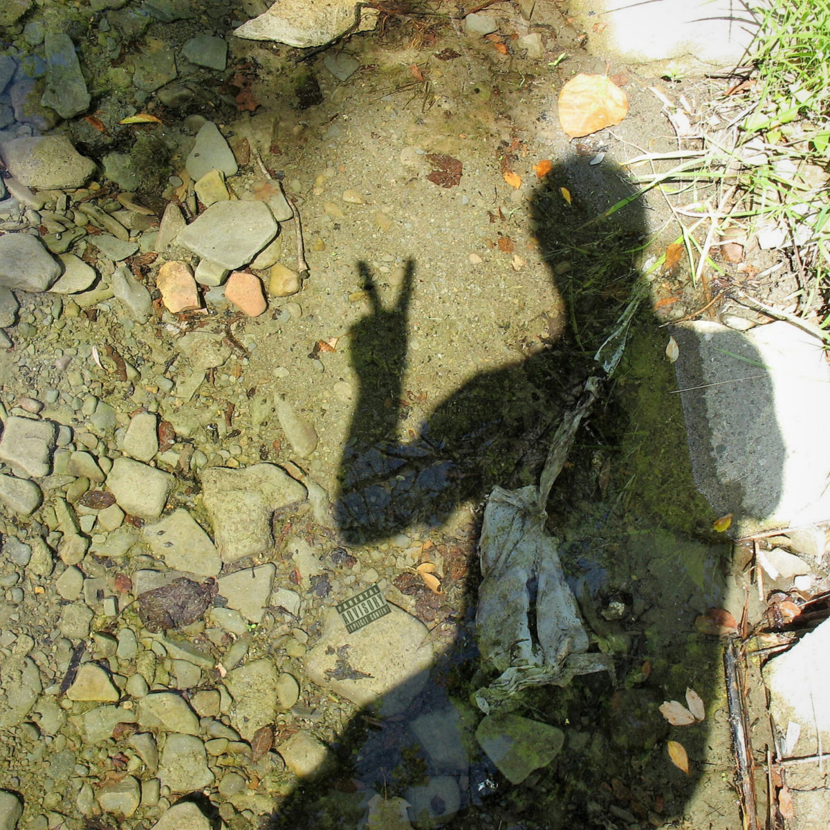 That Best Life | Nick Ruffo