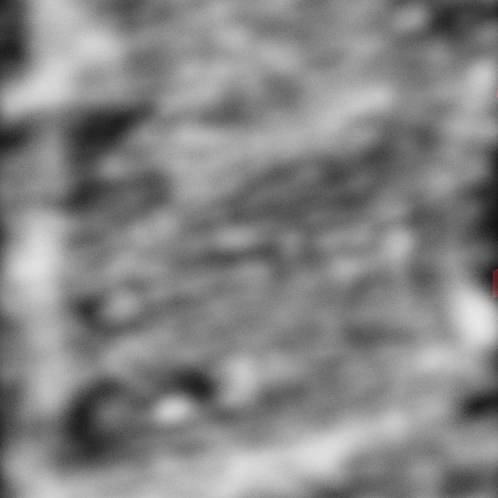 S1 - Massive Neuron Death Event | The Icebreaker