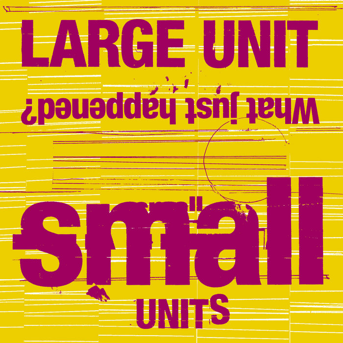 Large Unit: Small Units: "What Just Happened?" | Large Unit: Small ...