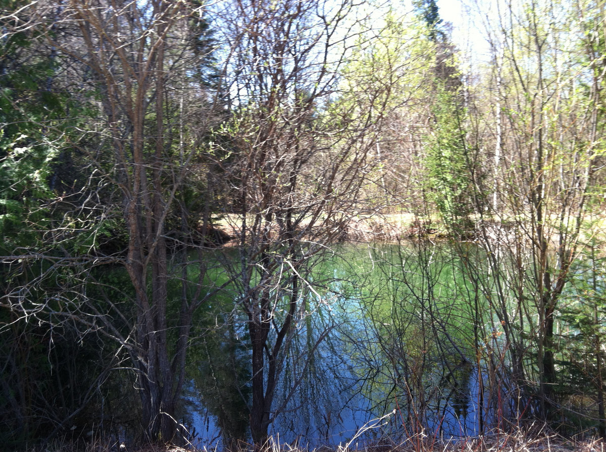 Roof of 1000 Ponds | SubAquaHead