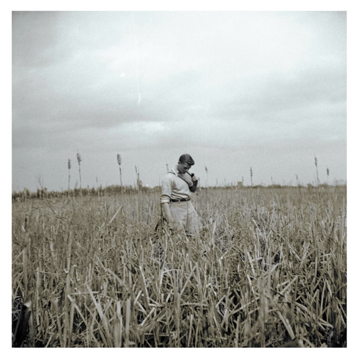 Endless Summer | Jack Rhodes James