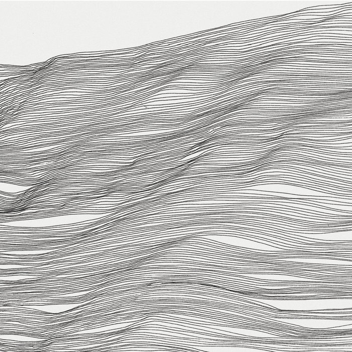 The Sync | The Bridge Sessions