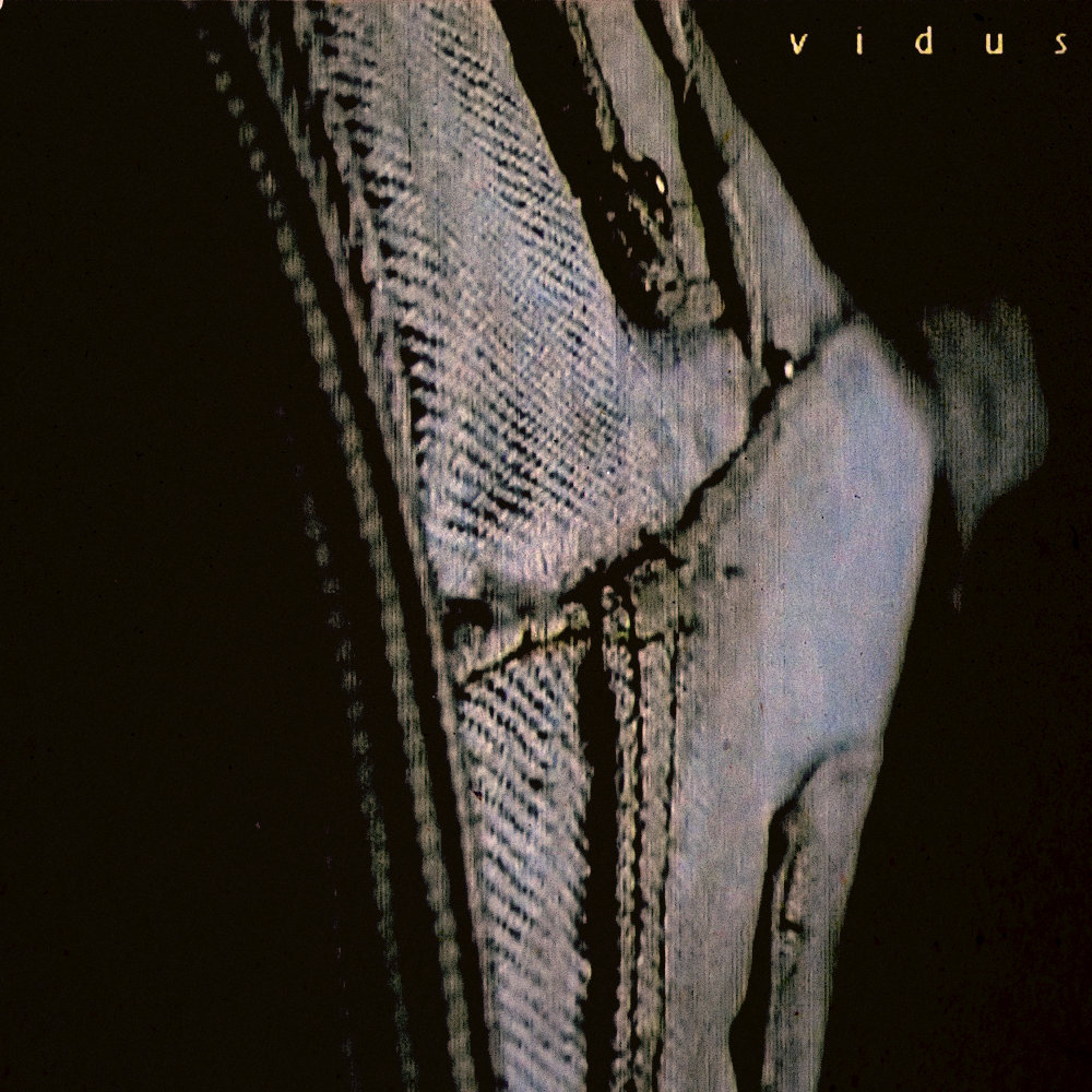 VIDUS | VIDUS