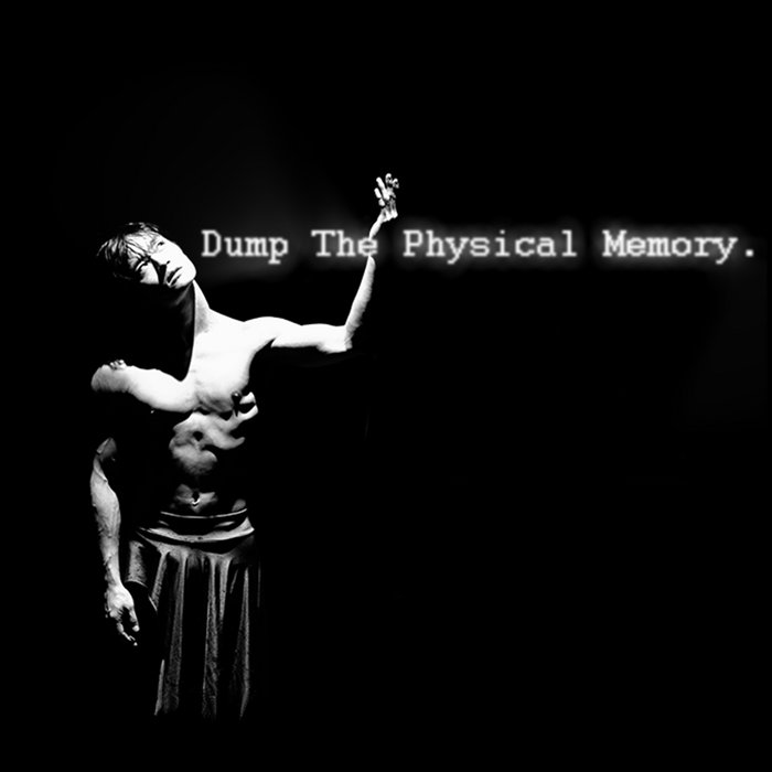 Dump The Physical Memory | Davidson Jaconello