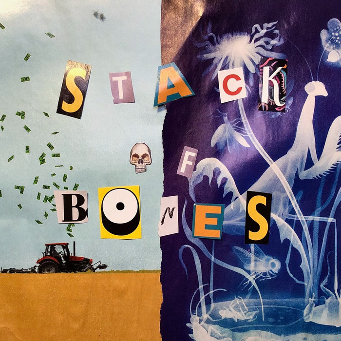 Stack of Bones | Lucy Leave