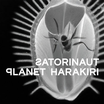 Music | psychedelic source records