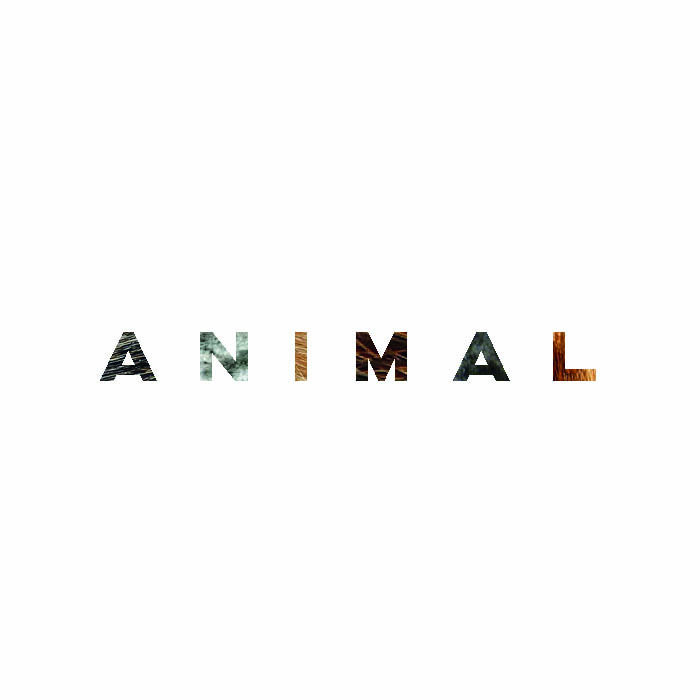 Animal | Ō Kuma