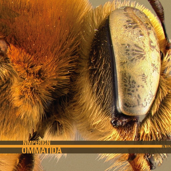 Ommatidia | Nmperign