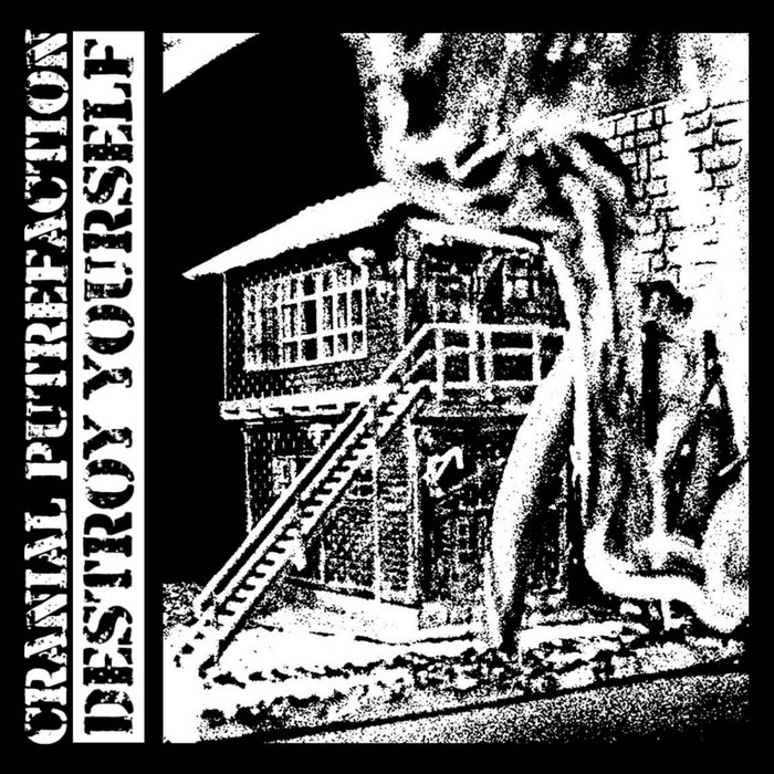 Split w/ Cranial Putrefaction | Destroy Yourself