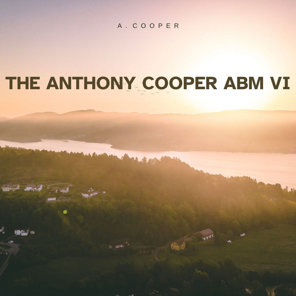 The Anthony Cooper ABM VI | A. Cooper
