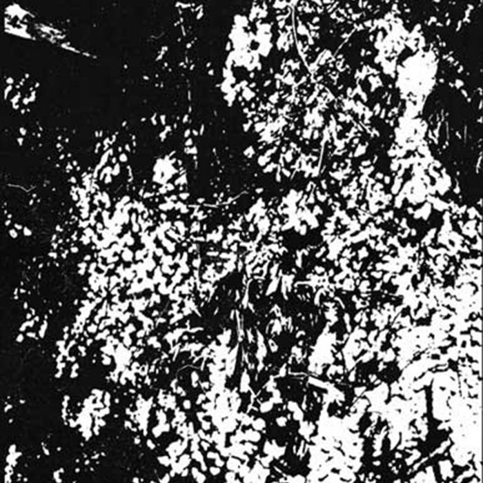 Split with Enshroud | Lipitoare