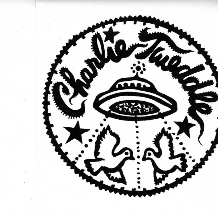 Tweddle Logo Brianne Tweddle