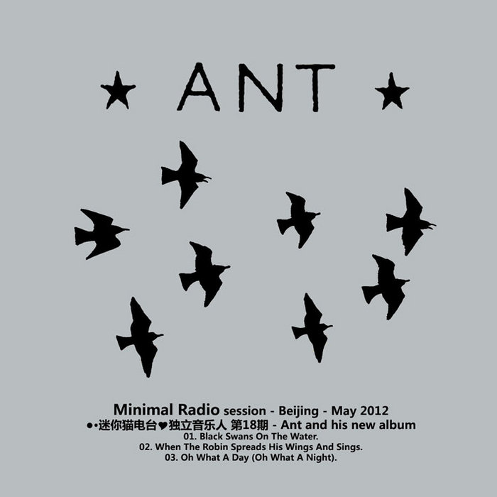 Minimal Radio Session | ANT | Antony Harding