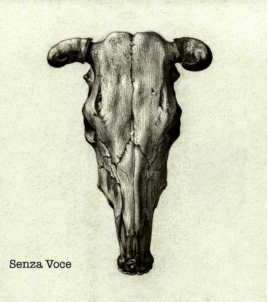 Senza Voce | Frank Cesario