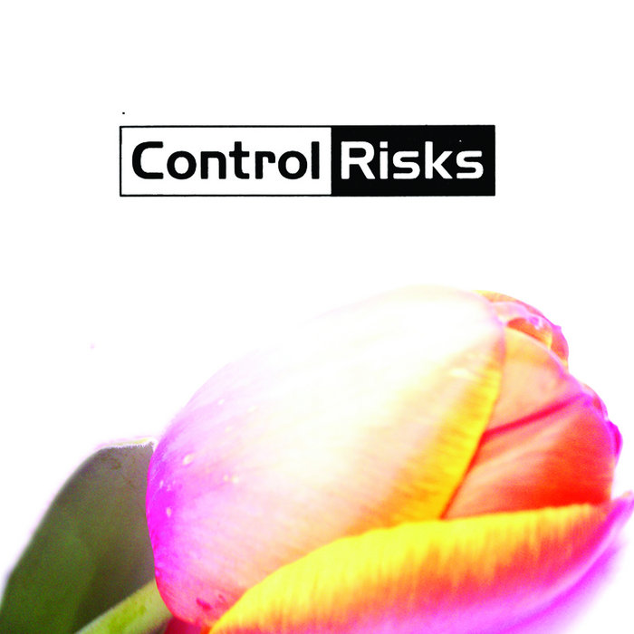 Control Risks | Zaimph
