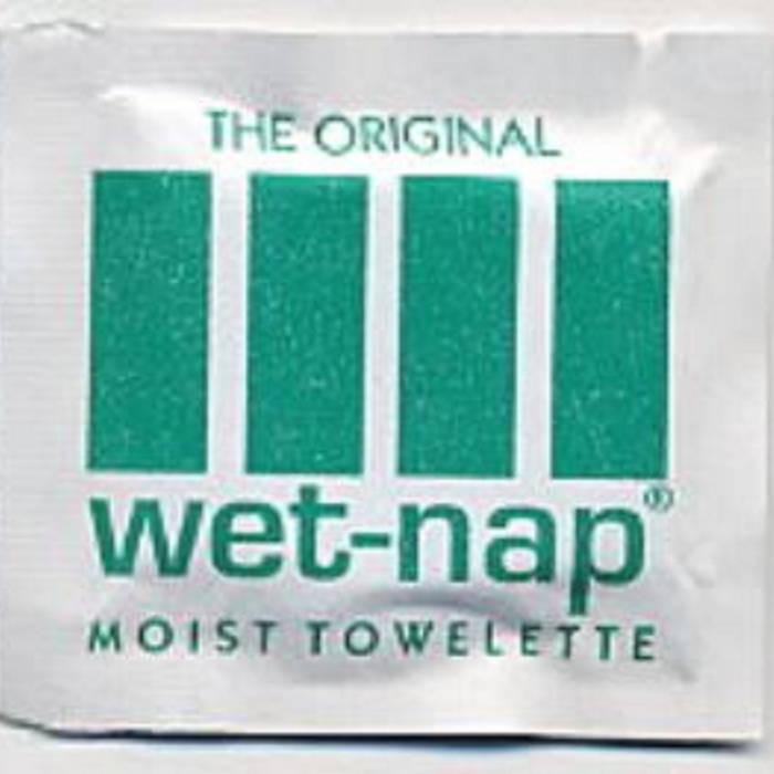 Wet Nap r. stevie moore 1994 R. STEVIE MOORE 500