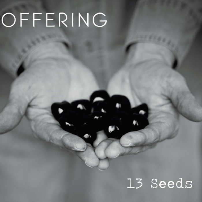 Offering | 13 Seeds