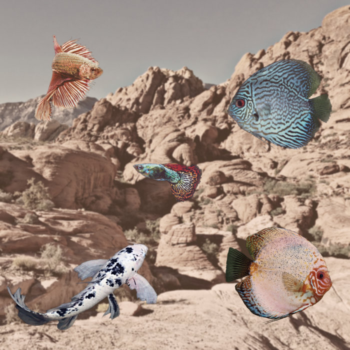 Post-Humanity, Inc. | Sloane's Viper