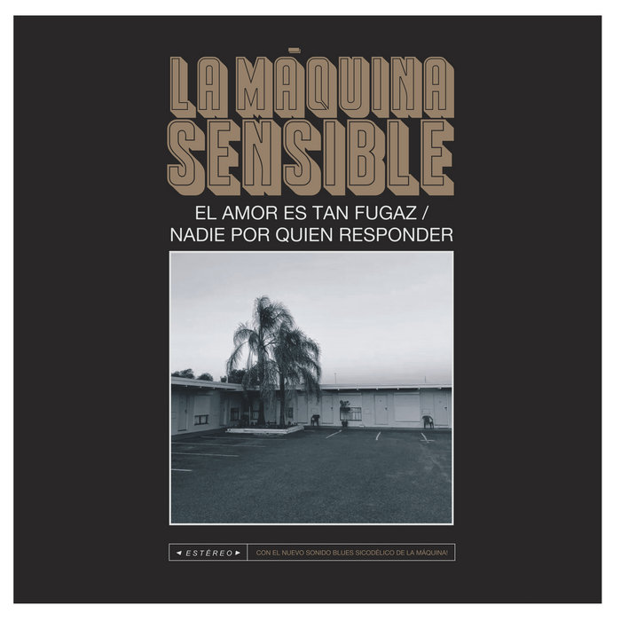 La Máquina Sensible - El amor es tan fugaz (Video Simple Adelanto 2024 ...