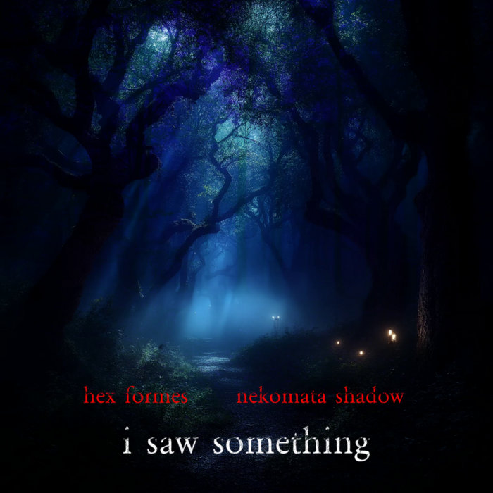 i saw something | hex formes + nekomata shadow | hex formes