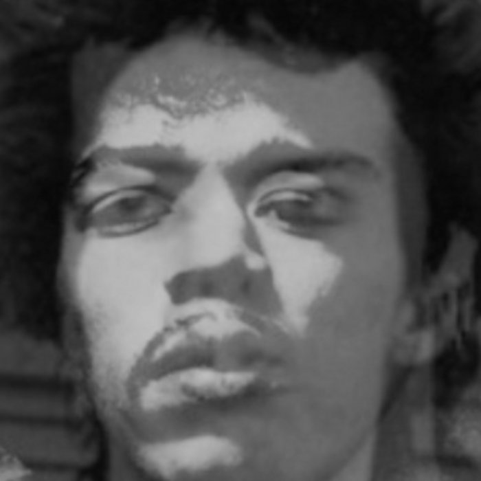 All My Idols OD'd | Salvia Plath | Logan Rees