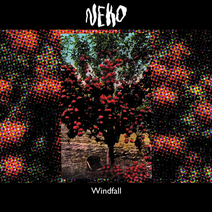 Windfall | Neko | Shore Dive Records