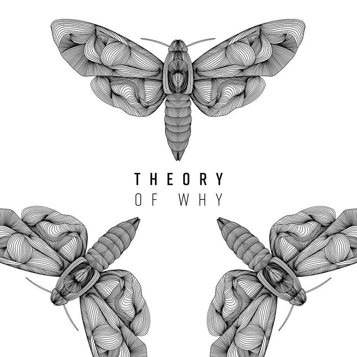 Theory Of Why | Theory Of Why