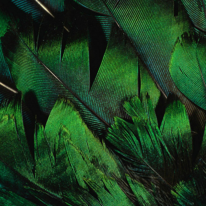 laugh | Emily Freeman