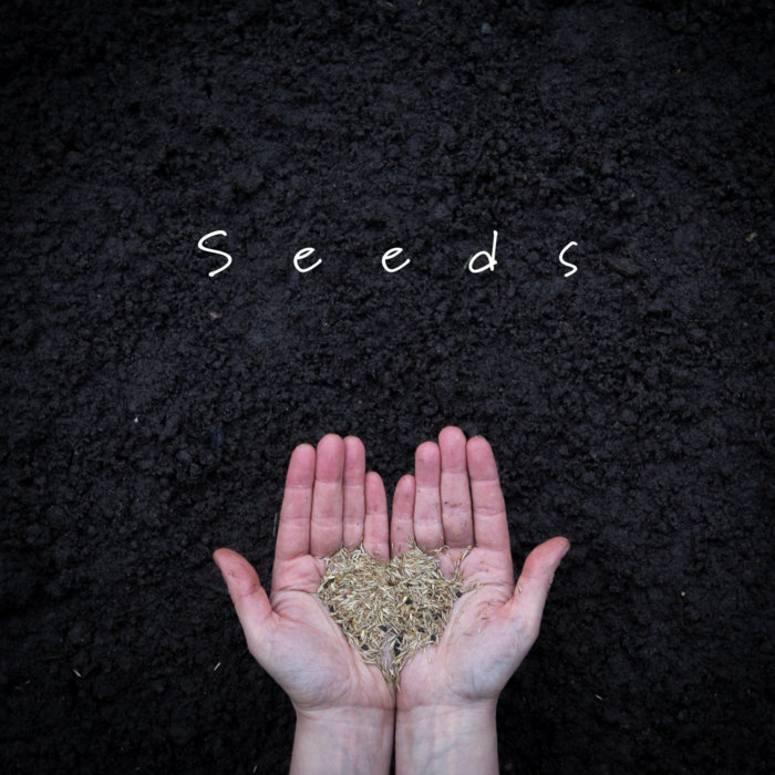 Seeds (featuring Carrie Tree) | Olivia Fern