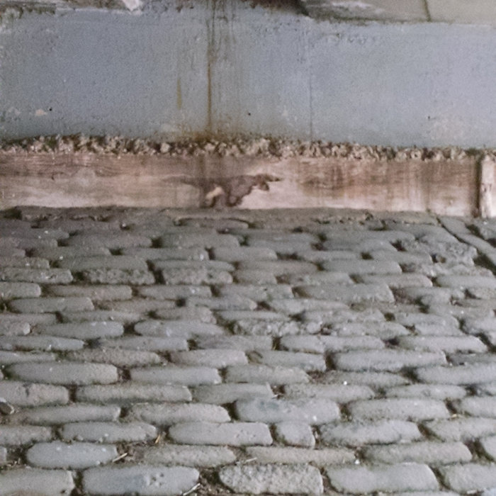 Smile | Pope Francis